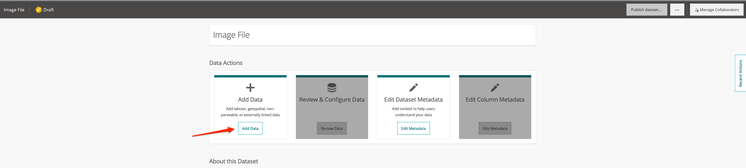 Uploading an Image through the Data and Insights Dataset Management ...